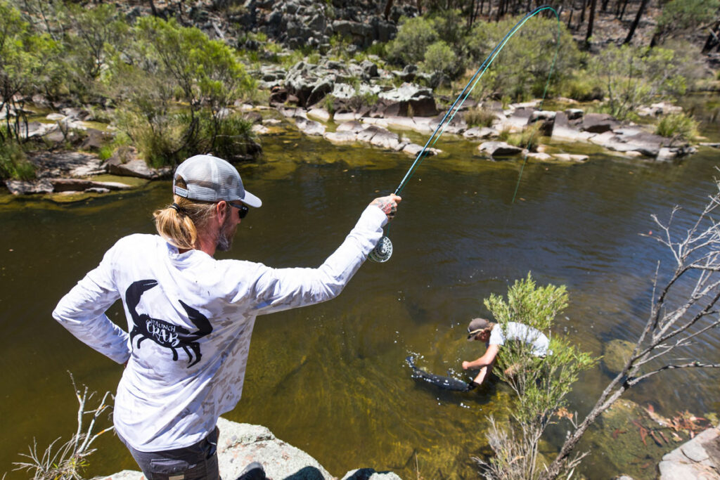 Murray Cod – Aussie Fly Fisher Fly Fishing Trips
